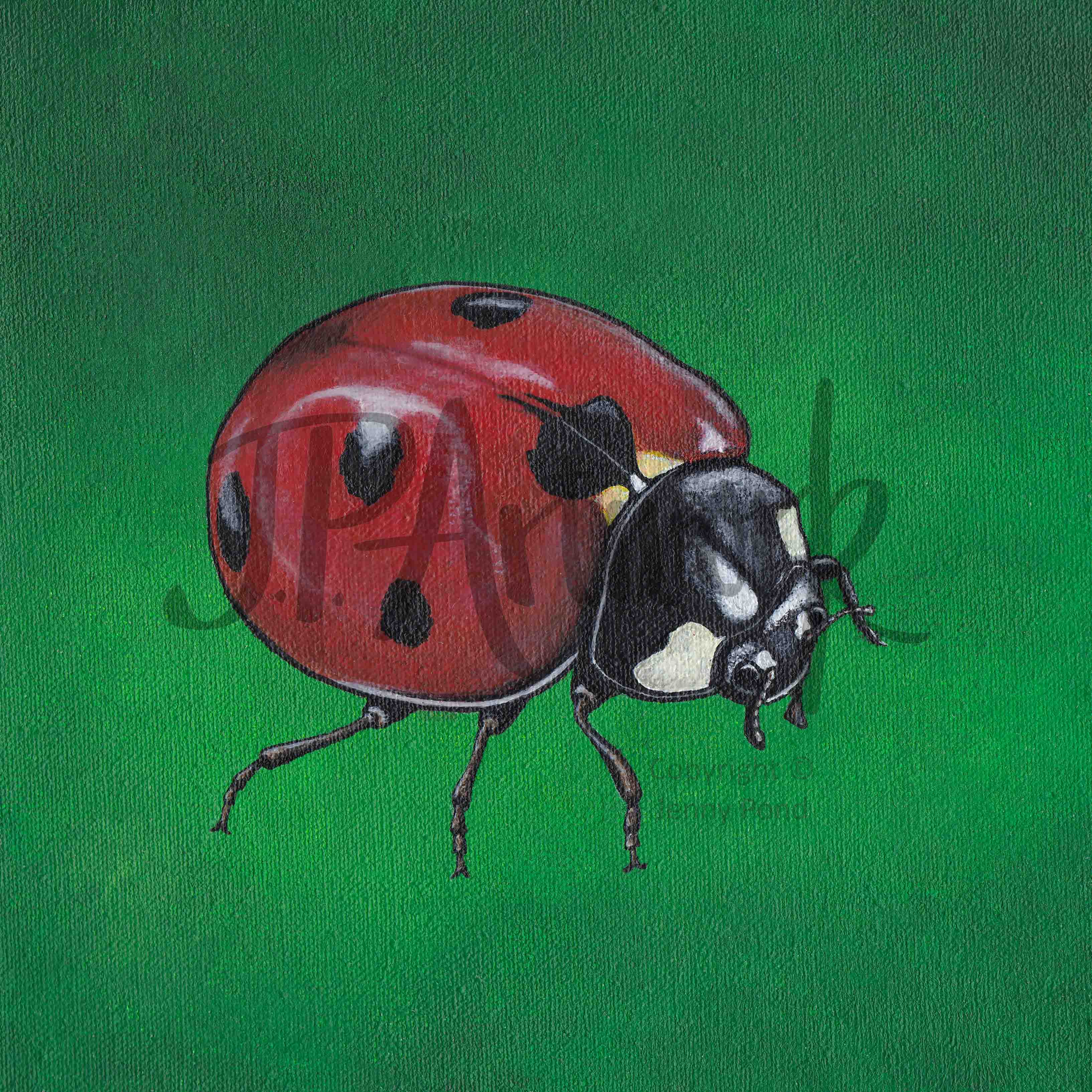 Ladybird | Limited Edition Art Print – JP Artwork
