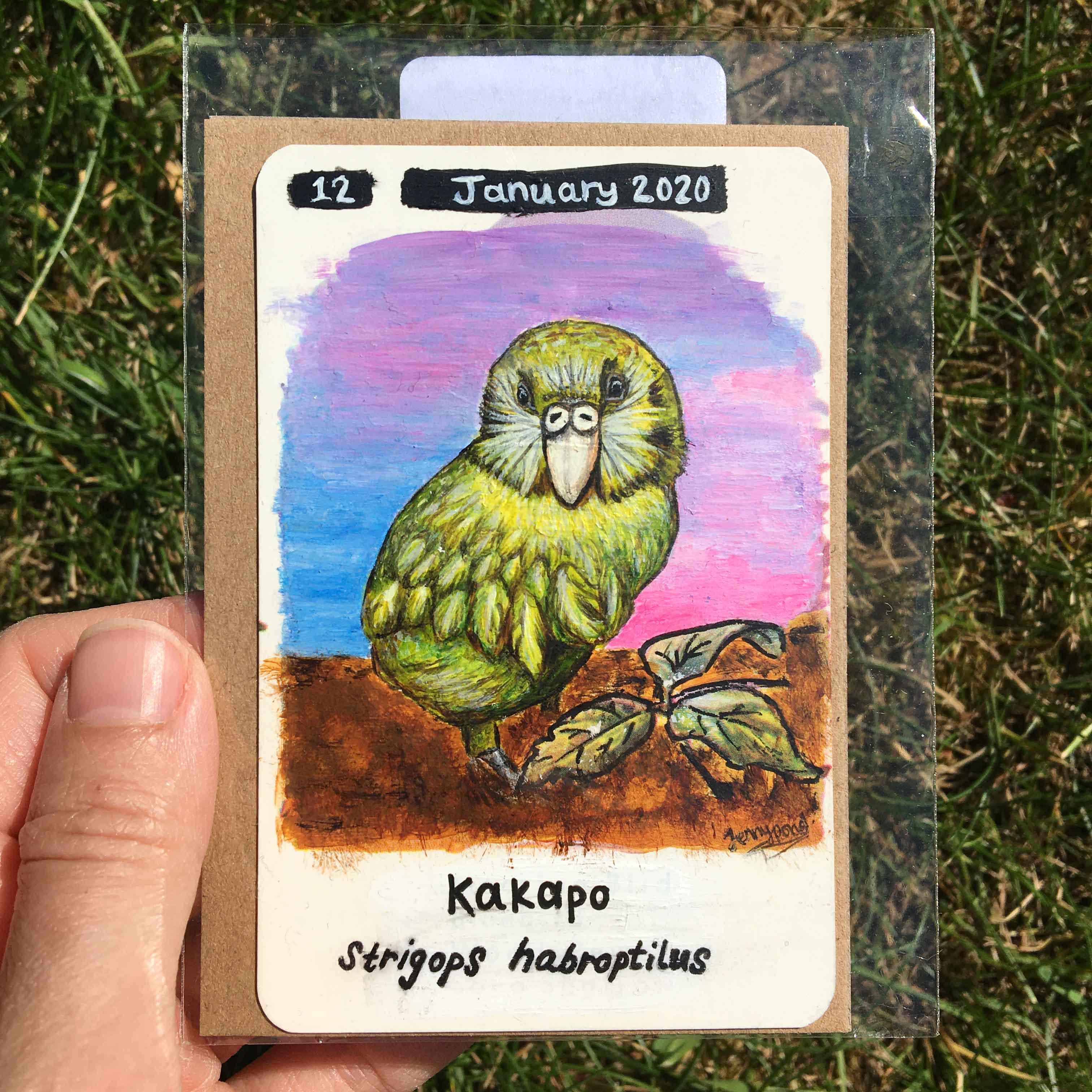 Kakapo Original Acrylic Painting, by Jenny Pond – JP Artwork
